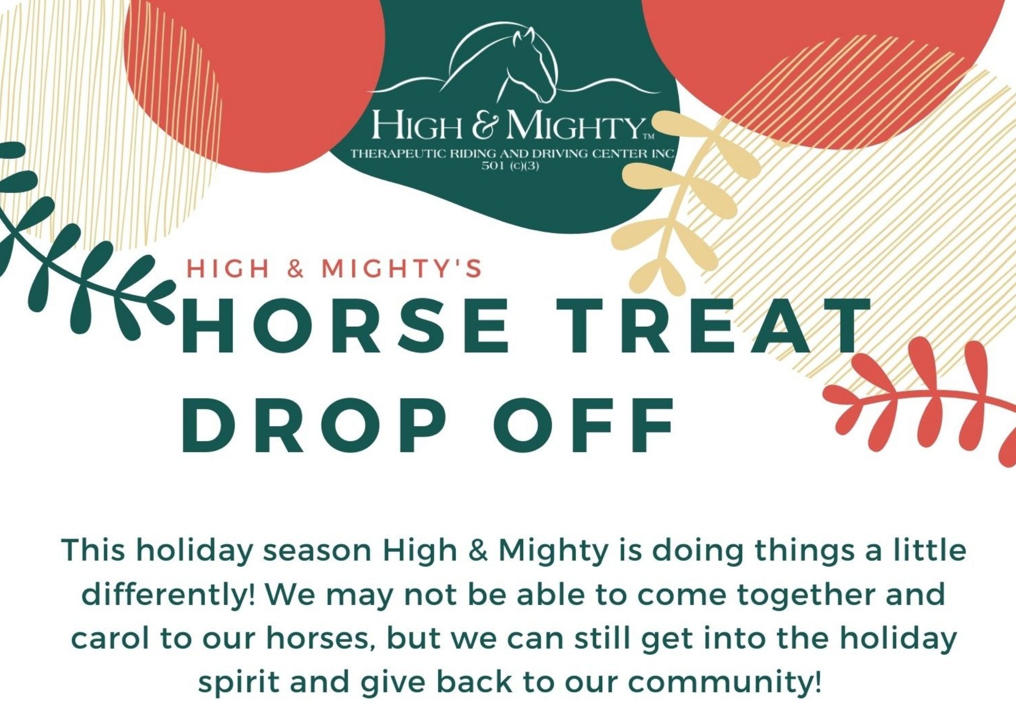 High & Mighty Therapeutic Riding And Driving Center INC. 501 (c)(3)