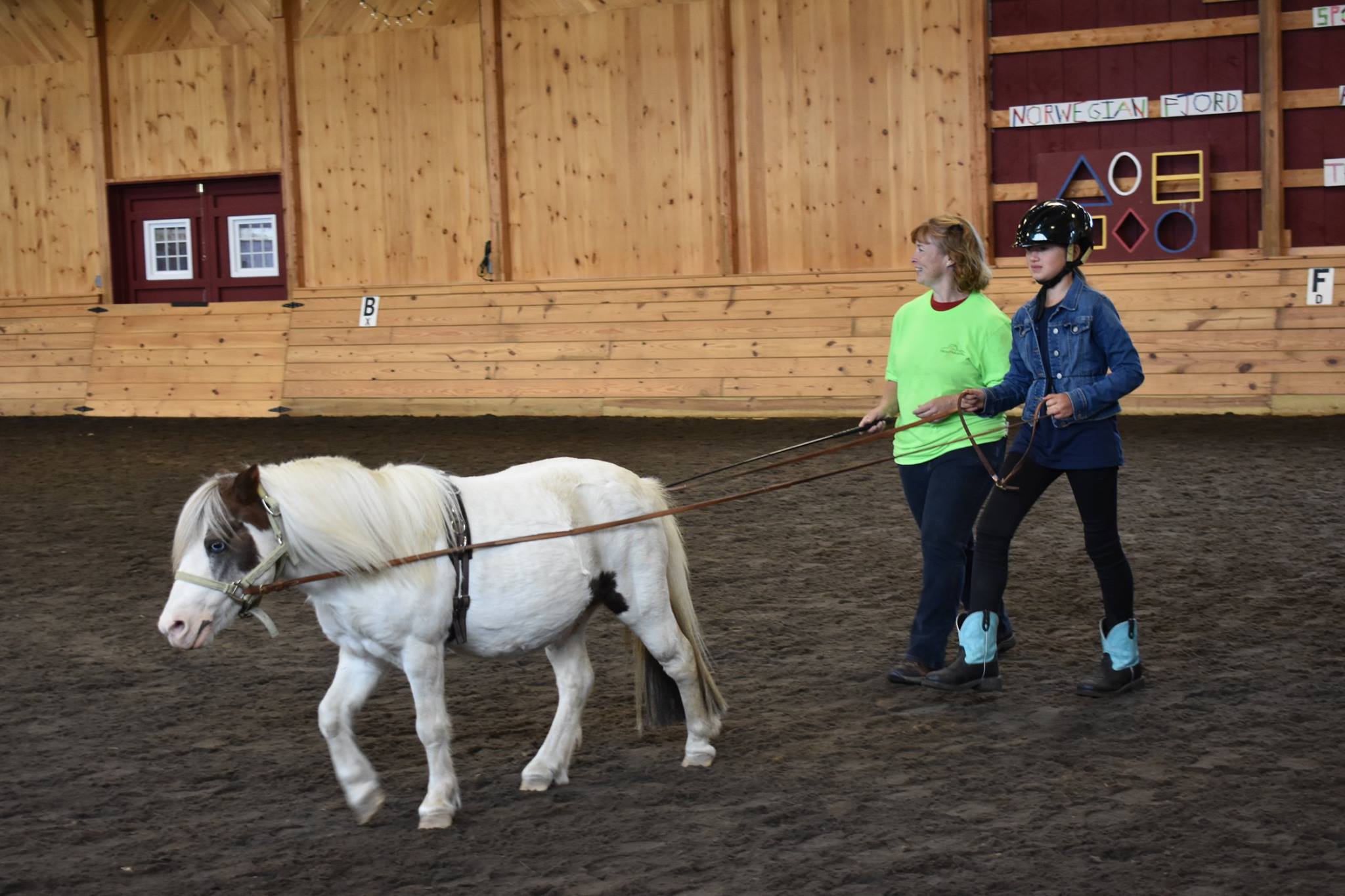 Unmounted Program – High & Mighty Therapeutic Riding And Driving Center ...